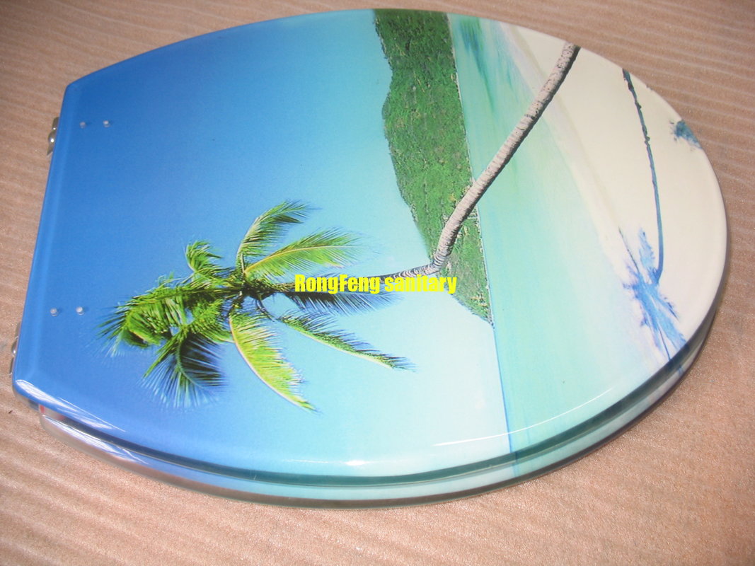 resin toilet seat cover,sanitary ware,hinge,MDF,PVC,PP,toilet,duroplastic toilet,body pic