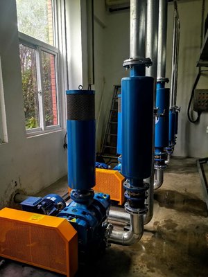 RH10032 rotary blower for waste water aeration supplier