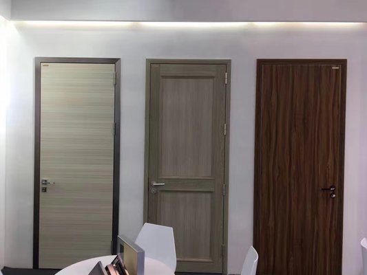 Modern Aluminum frame Customized Commerical Home use flush door design