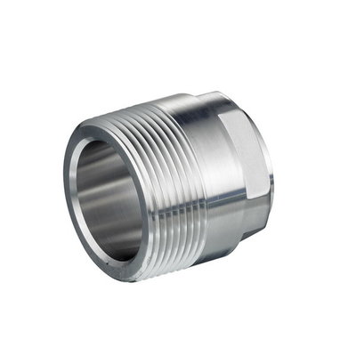 Commestibile igienico di Ss304 Ss316l dell'adattatore a 10 pollici del puntale 22mp Triclover NPT