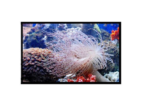 High Brightness 22 Inch CCTV Monitors For Retails And Shopping Malls