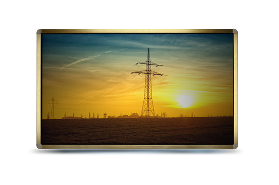 55 Inch Wall Mounted Digital Signage , Touch screen Advertising Player Golden Color