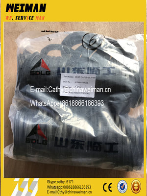 High quality SDLG LG968  Wheel Loader Spare Parts 4120001739006 DUST CAP JS-ZL50-004