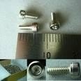 Stainless Steel Bolt (DIN912)