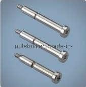 Electrical and Electronic Step Precision Screws