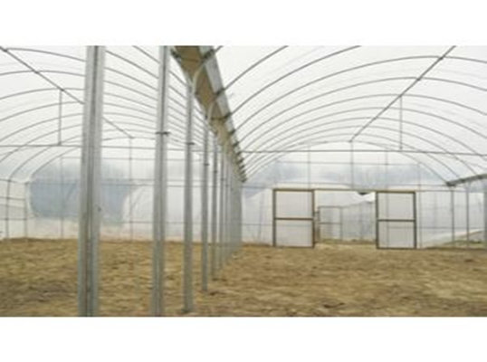Q195 , Q235 , Q345B ERW Steel Pipe / Hot Rolled ERW Tubing for Construction / Automobile / Bicycle