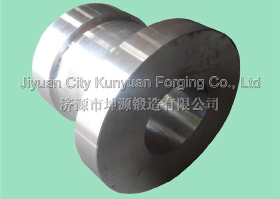 ASME Standard Forged Steel Flange