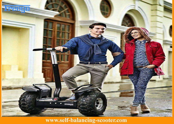 2 Wheel Segway Off- Road Folding Self -Balancing Electric Scooter High quality