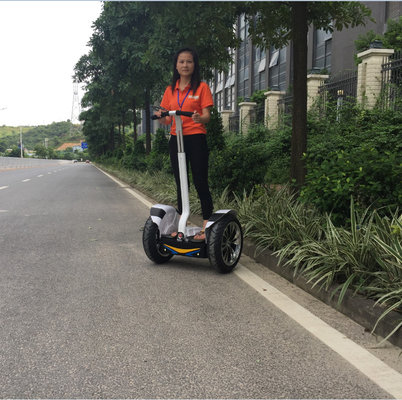 Car Mate Two Wheels Self Balancing Personal Transporter Lithium Battery