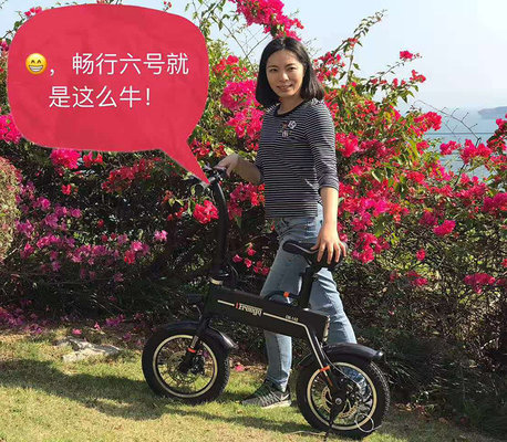 48V 12" Foldable Electric Scooter Brushless Motor With LED Lights