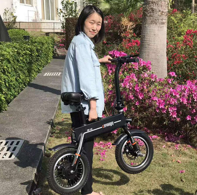 Adult 2 Wheels Foldable Electric Scooter , Outdoor Activity Electric Bicycle