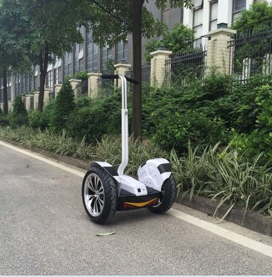 2 wheel standing Self Balancing Electric Scooter For adults with bluetooth APP