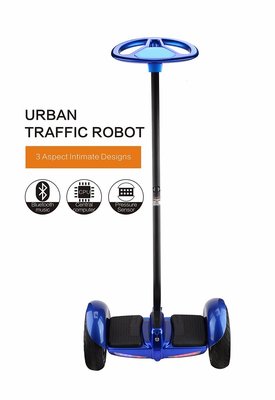 Portable Segway Electric Two Wheel Scooter For Outdoor Sport CE Approved