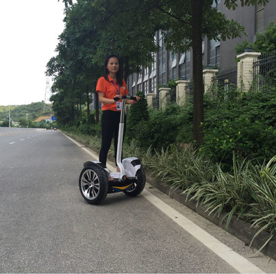 Freego Off Road Segway Rent Transporter With 2.4GHZ Info Key / Speed Shift