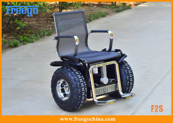 Two Wheel Electric Mobility Scooters Wheelchair with 3 Battery Power