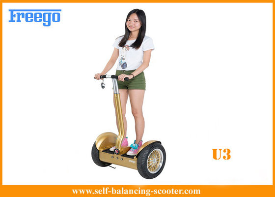 1600W 36V DIY 2 Wheel Electric Standing Scooter Professional Version
