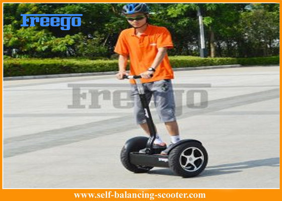 City-Road Police 2 Wheel Electric Scooter With Brushed Controller