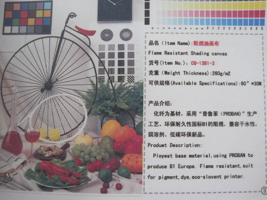 Eco Solvent Canvas Inkjet Printing Media For Home / Hotel Decorations