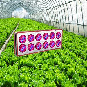 COB led special design for medical plant with full spectrum simplified for Noah Series led