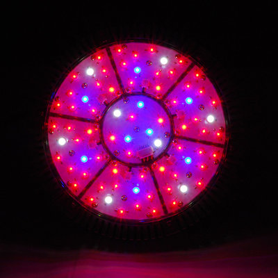 Cidly Super 144w ufo led grow light bloom led light with 3w epistar chip CE ROHS