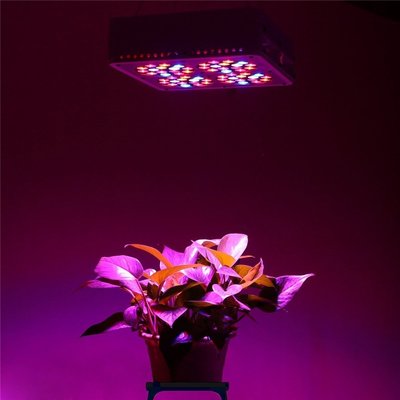 60pcs*3W APOLLO 4 180w led grow light (CE,RoHS,FCC,PSE/AC100~240V)