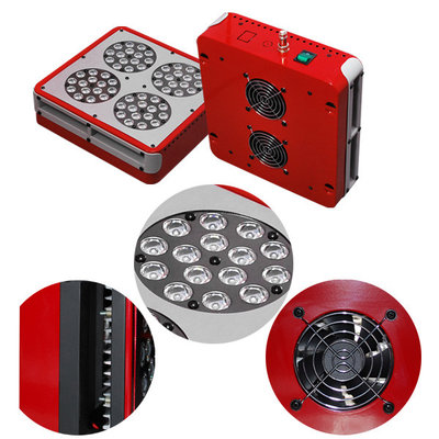 WholesaleAPOLLO 4 LED Grow Light AC100~240V 700mA