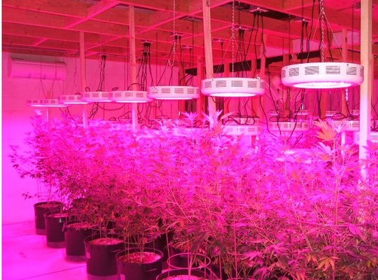 Greenhouse Lamp Kit Hydroponic ,450w UFO Led grow light with 3w cree led chip ,CE RoHS Eco
