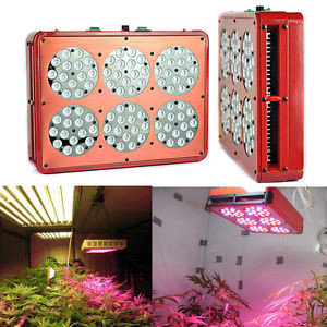 CIDLY led grow light,agriculture led light,diy led grow light