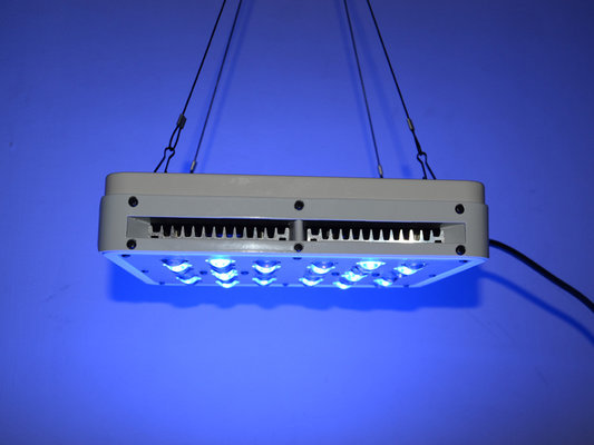 Full Spectrum LED Grow Light could be Customized Growing Lights 140W 3 years Warranty 5W L
