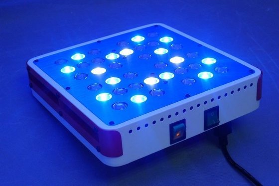 Full Spectrum LED Grow Light could be Customized Growing Lights 140W 3 years Warranty 5W L