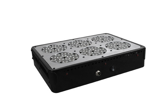 greenhouse application hydroponic grow systems led lights cidly full spectrum apollo 6 led grow light 200w