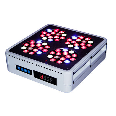 Cidly A4 LED grow light 140W manufacturer promotion item 60 pieces 3w LEDs