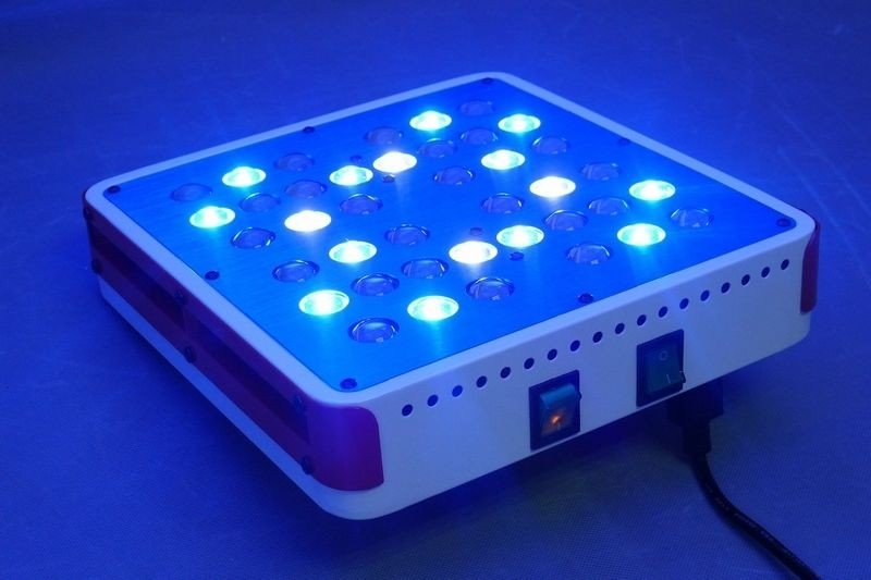 200w led light grow,full spectrum 5w, Good for Indoor Plant Free Trade North America Unite