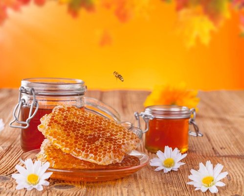 Hongkong Shenzhen Guangzhou honey import agent supplier