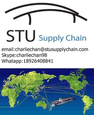 China Best Internation Logistics company to Paraguay supplier