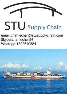 Cheap Fast and Safety Ocean shipping Service to CAACUPEMI PYCAA,Paraguay supplier