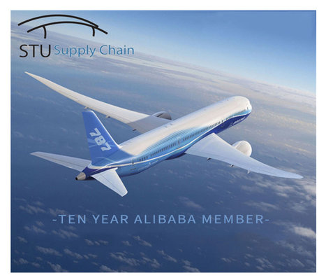 Professional AIR SEA Freight DOOR To DOOR Efficient Customs Clearance To Serbia supplier
