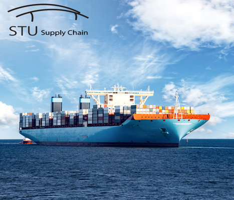 Sea Freight Forwarder Shipping Rates To DAVAO From China Shanghai Shenzhen Guangzhou supplier