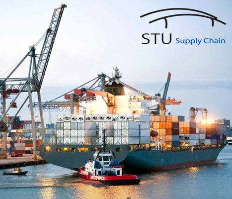 Excellent Sea Shipping Company Freight Forwarder From Shenzhen China To Hungary South Africa supplier
