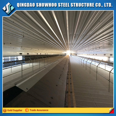 Large Scale Steel Structure Chicken House Building Design Poultry Farm Shed