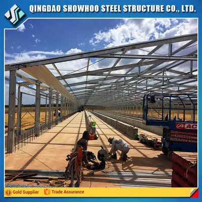 Free Range Prefabricated Steel Structure Poultry Farm Shed Design Chicken House for Sale