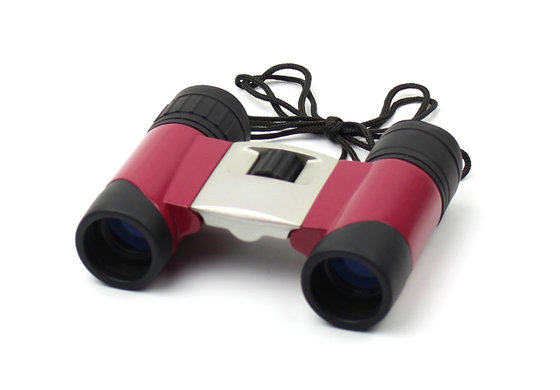 Handheld 10x24 Lightweight Compact Binoculars for Kids BAK9 Roof Prism
