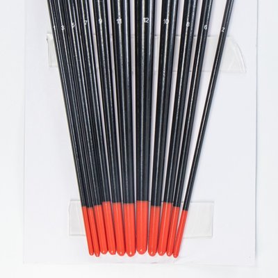 Flat Shape Nylon Hair 10# 12pcs Artist Paint Brush Set