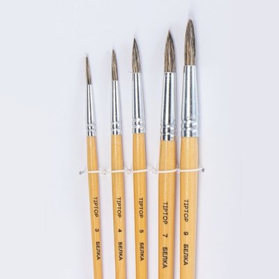 Wooden Handle Round Tip #12 Artist Paint Brushes Set