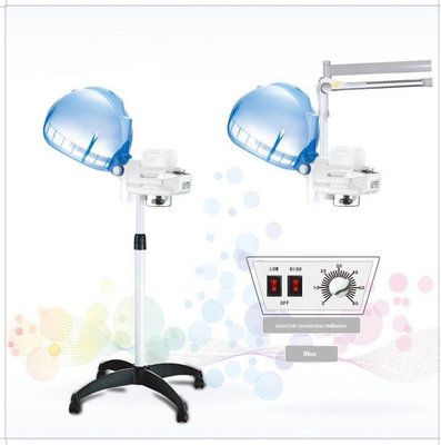 Micro Mist Professional Spa Machine Ozone Hair Steamer supplier