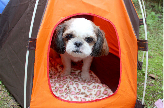 Outdoor sun protection small and medium-sized dog pet nest, special kennel cat litter puppy tent wholesale, spot supplier