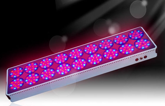 9600lm 580 Watt Led Grow Plant Lights 90° / 120° Beam Angle supplier
