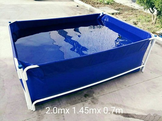 Wholesale Pvc Fish Tank