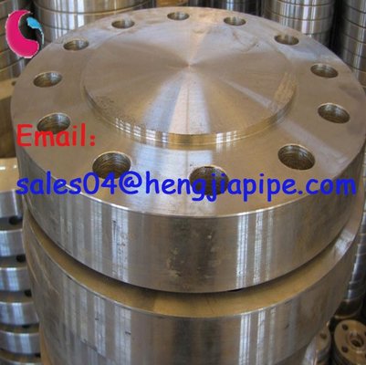 SS blind flanges