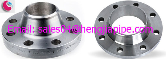 WN RTJ FLANGES